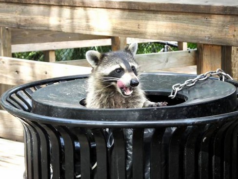 Garbage Can Source - Selection Of Underground Garbage Cans Underground Garbage Can Lids Pails ...